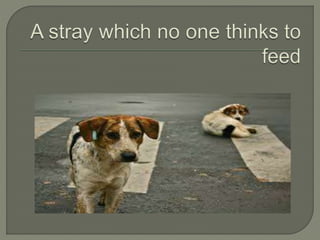 Sad I Ams (Introduction) | PPT