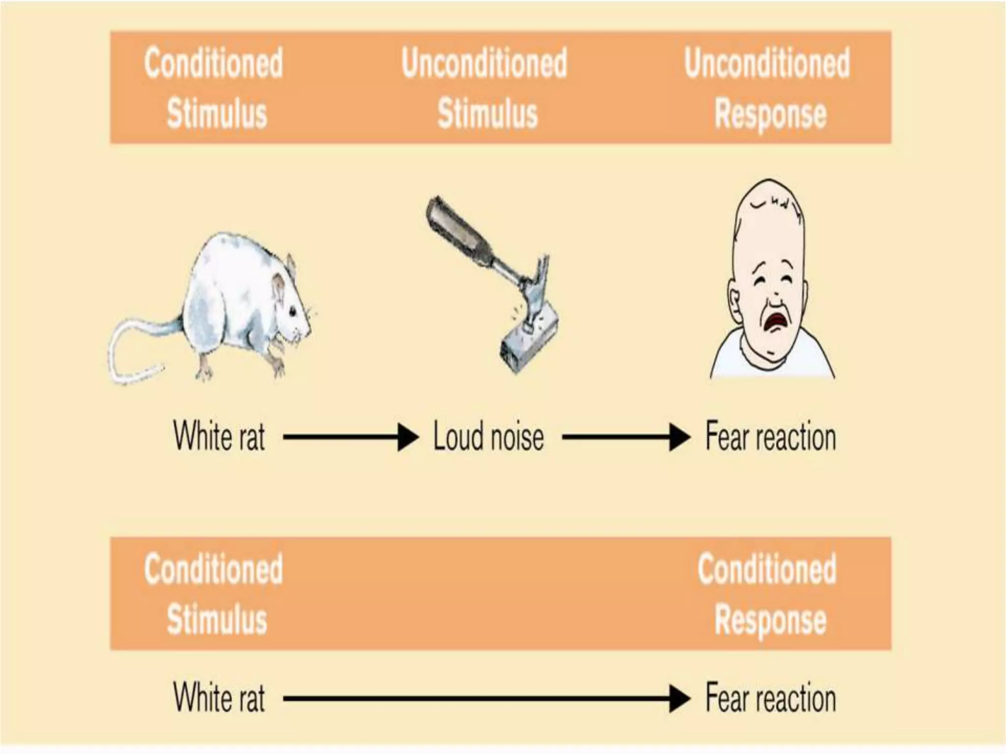 classical conditioning and discrimination | PPTX