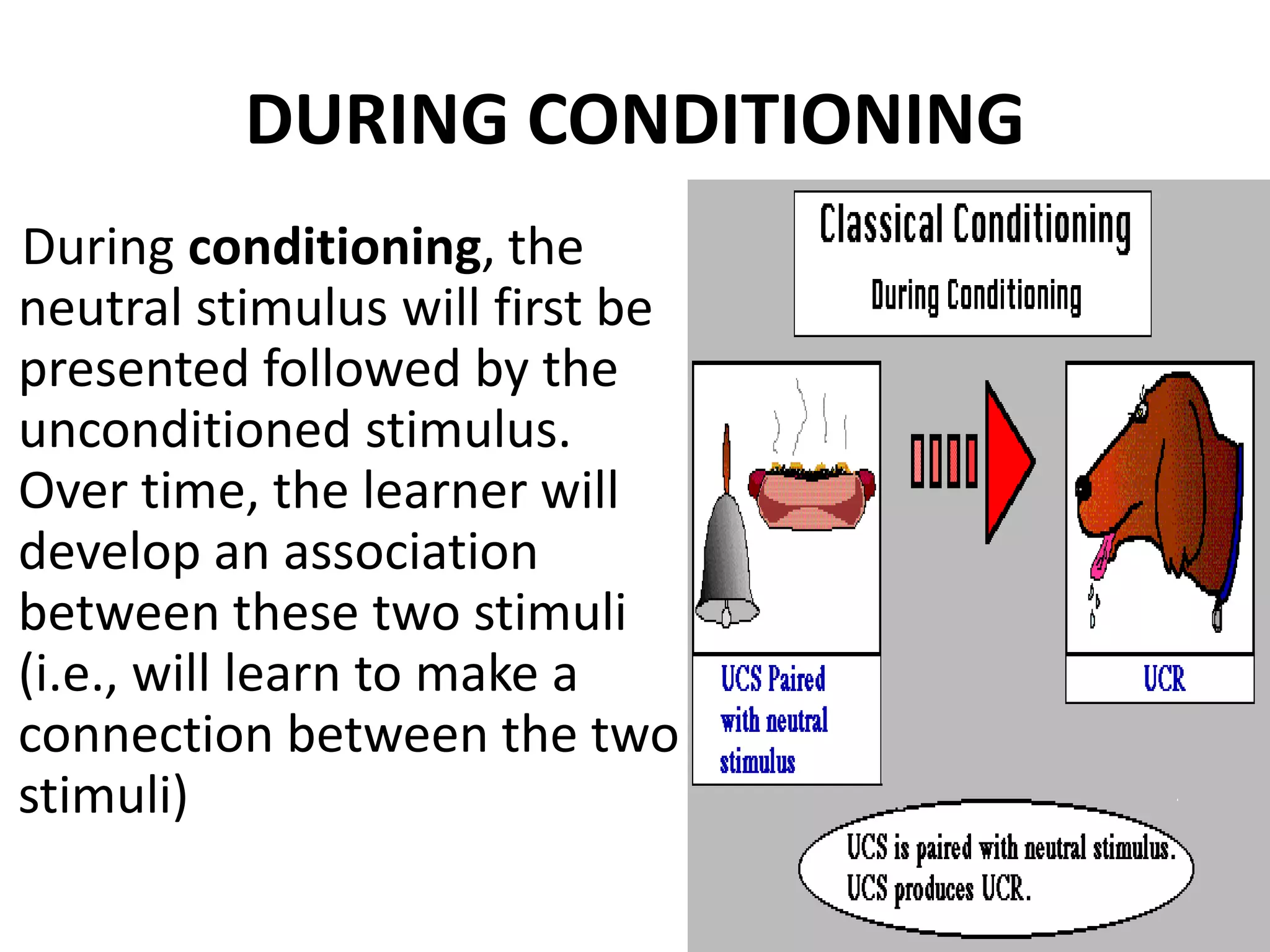 classical conditioning and discrimination | PPTX