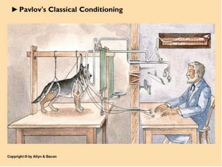 classical conditioning and discrimination | PPTX