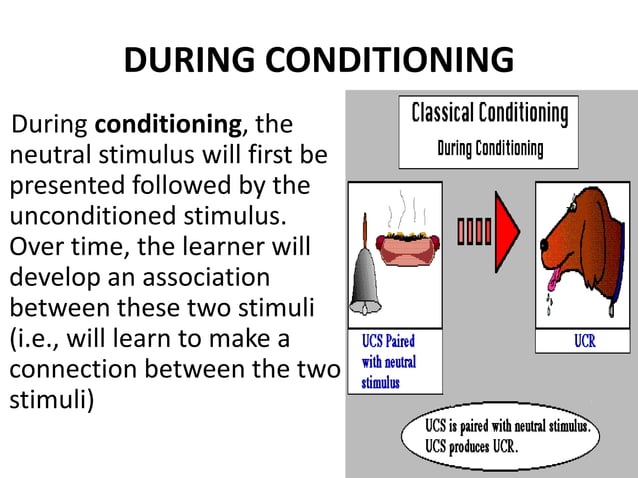 classical conditioning and discrimination | PPT