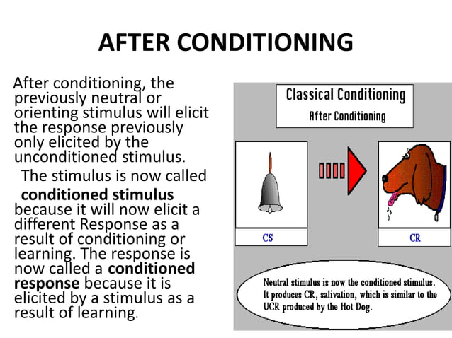 classical conditioning and discrimination | PPT