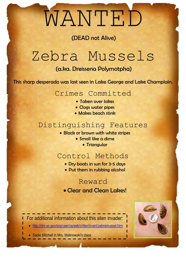 Sadie mitchell | PDF