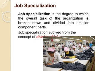 Sadman Abrar - Chap-05 Organizing.pptx