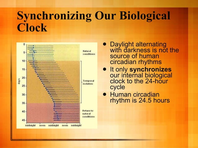 Sad presentation5a | PPT