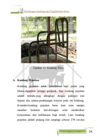 Saduran membangun kandang sapi yang baik dan benar | DOCX
