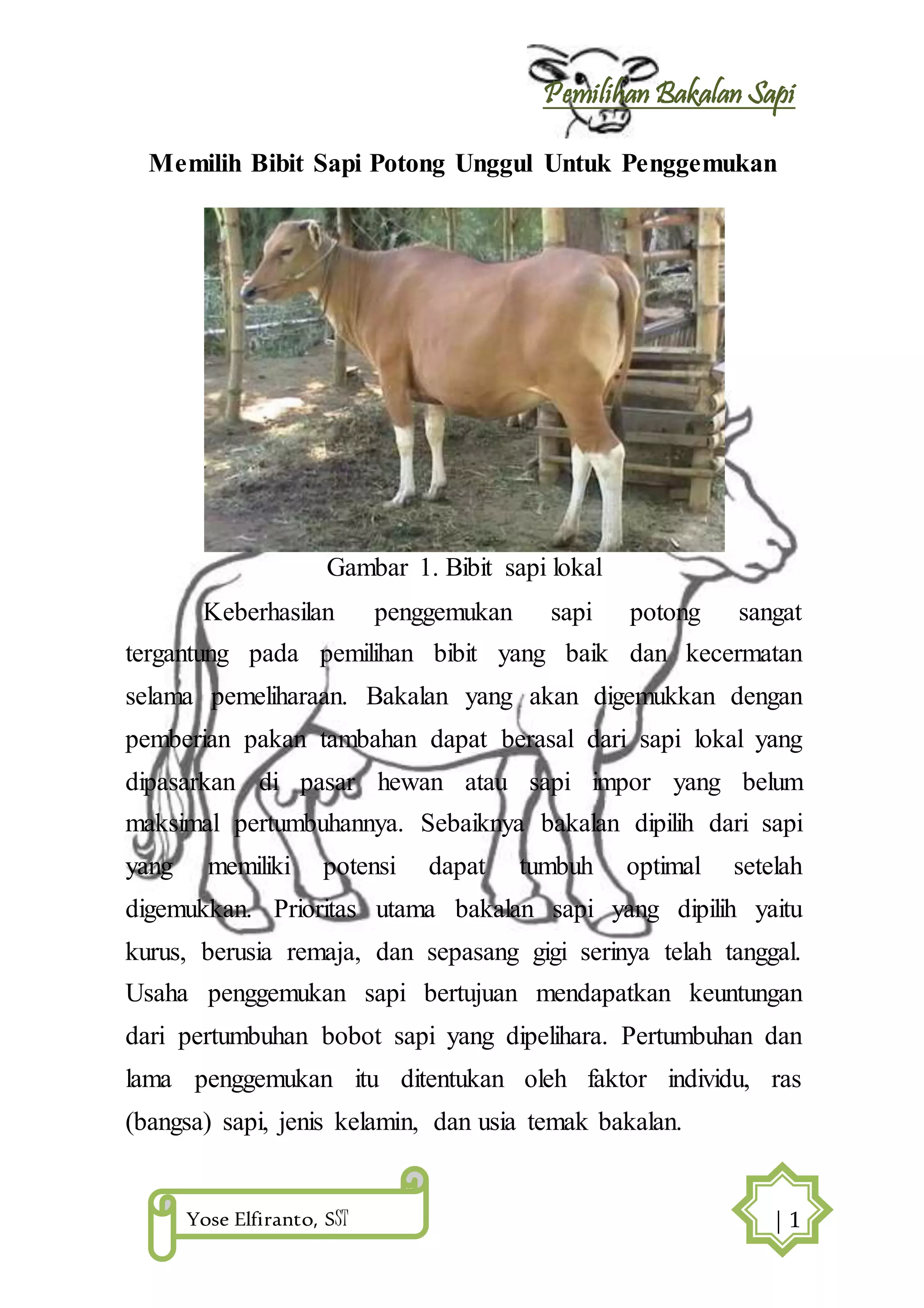 Saduran prospek pembibitan sapi | PDF