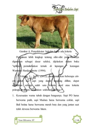 Saduran prospek pembibitan sapi | PDF