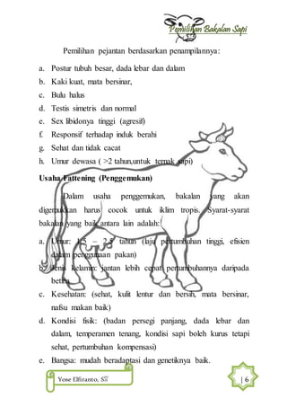 Saduran prospek pembibitan sapi | PDF