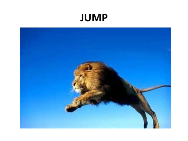 ANIMALS MOVEMENTS | PPTX