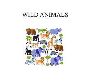 WILD-DOMESTIC ANIMALS | PPT