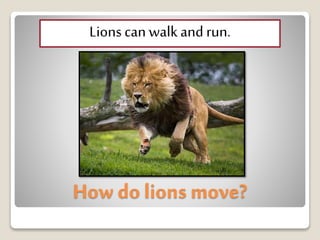 ANIMAL MOVEMENTS2 | PPT
