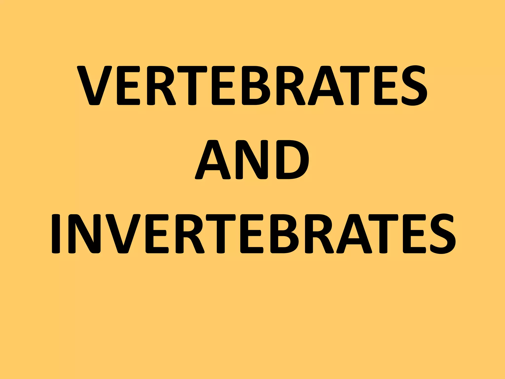 VERTEBRATE/INVERTEBRATE ANIMALS | PPTX