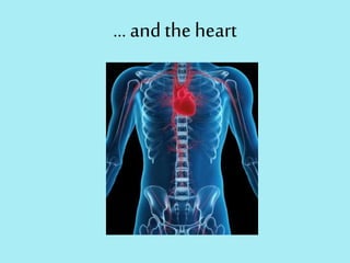 My body powerpoint | PPTX