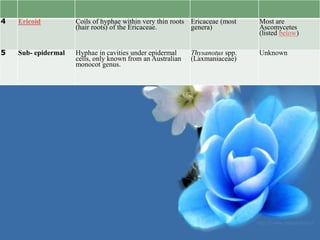 first year presentation | PPT