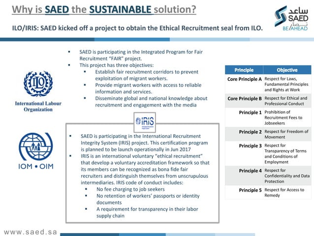 Saed international profile (e) | PDF | Human Resources | Business