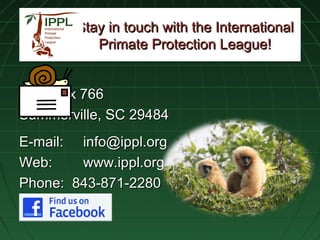 The International Trade in Primates for Labs | PPT