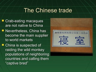 The International Trade in Primates for Labs | PPT