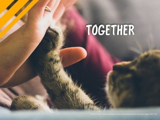 Personal Persona Project of Lee Saenz | PDF