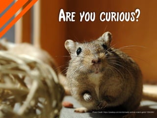 Personal Persona Project of Lee Saenz | PDF