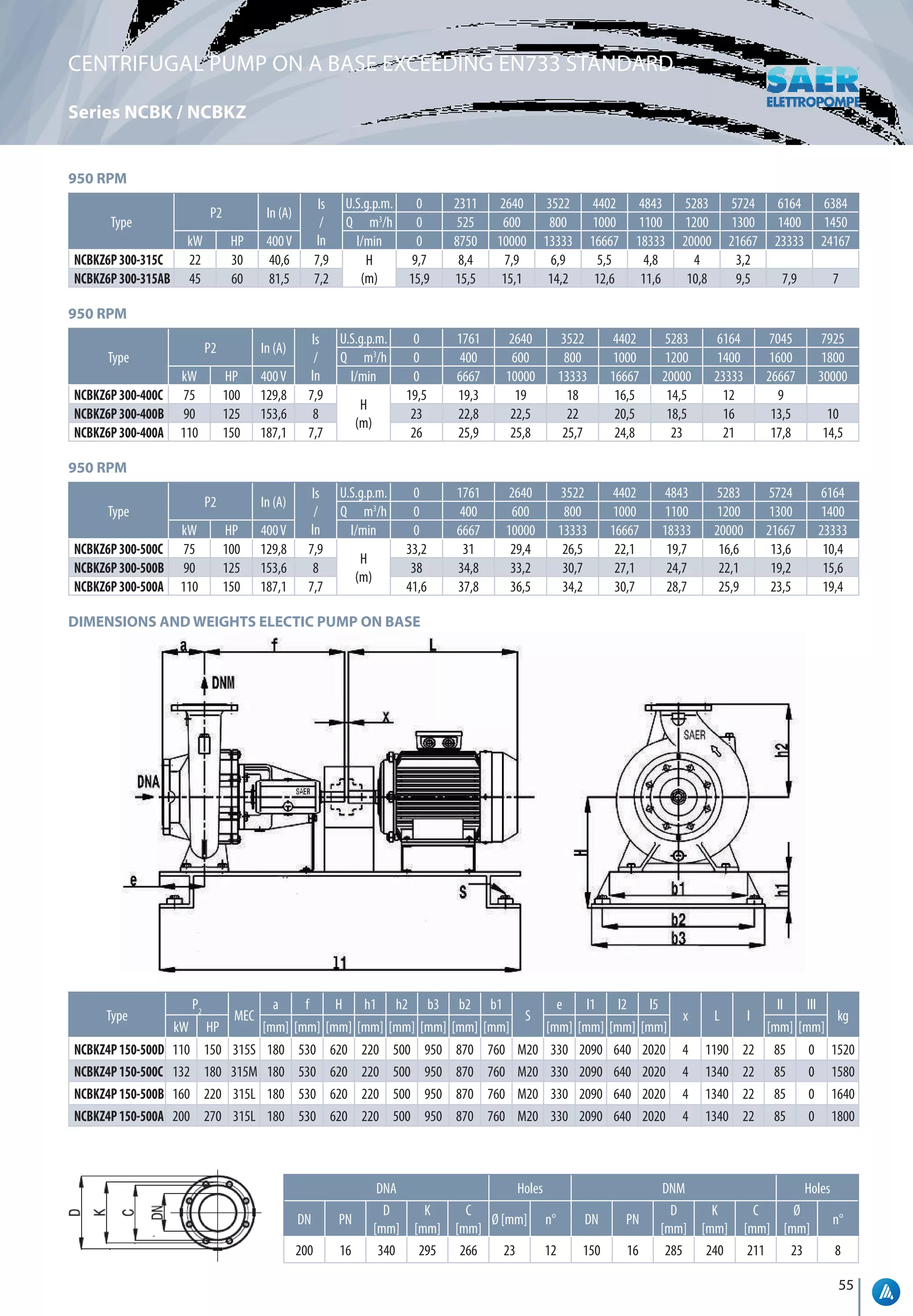 SAER Catalog | PDF