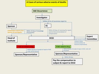 SAE REPORTING TIMELINE AND COMPENSATION 2019 | PDF
