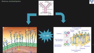 SAF sindrome antifosfolipidico reumatologia.pptx