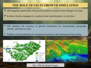 growth simulation yield prediction using different simulation tecnique ...