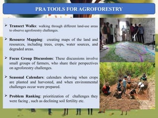 different PRA AND RRA tool used to get solution | PPTX