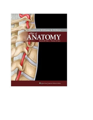 Lippincott Williams and Wilkins Atlas of Anatomy | PDF