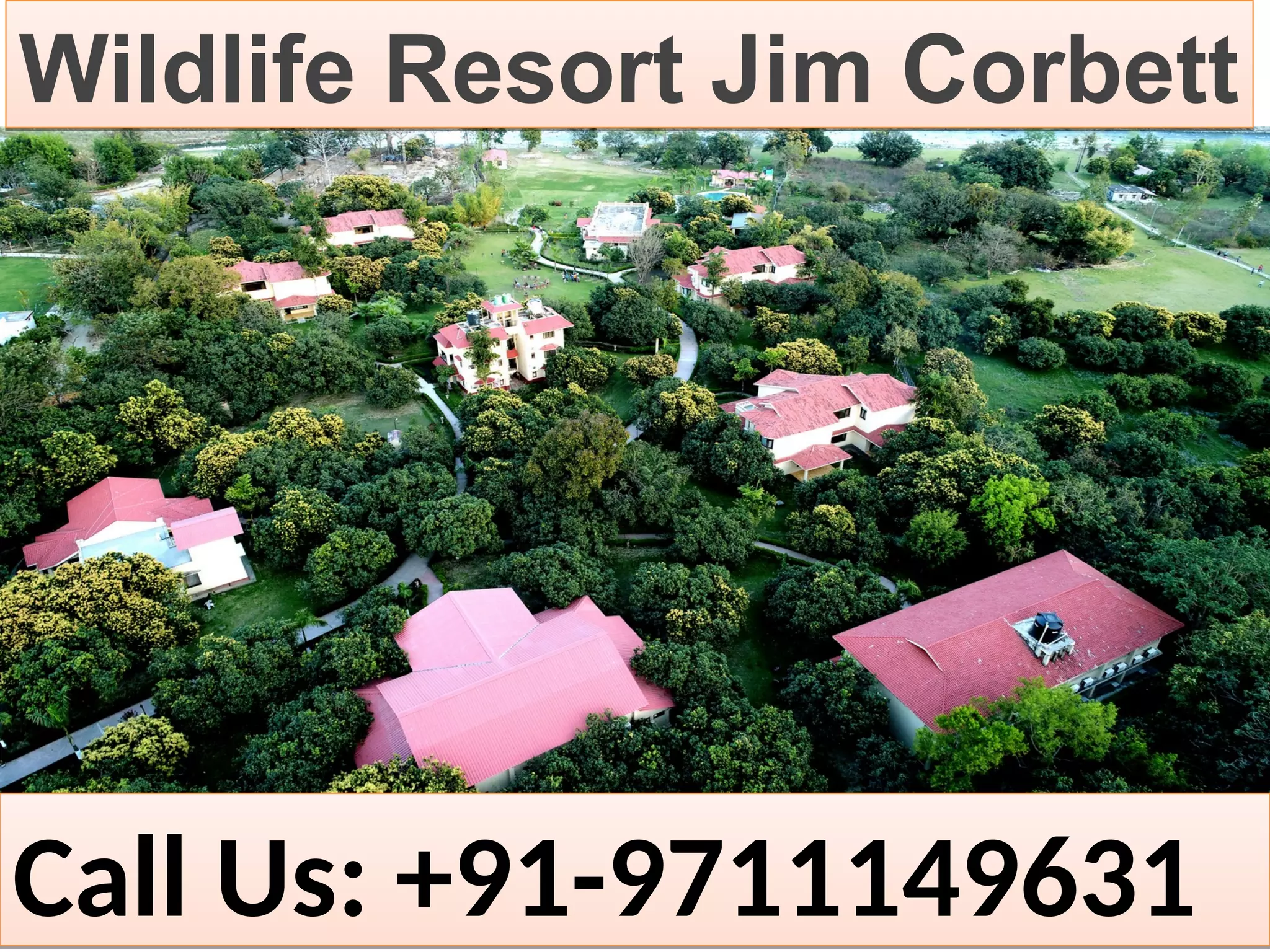 Safari in jim corbett | PDF | Hotels and Motels | Travel Type