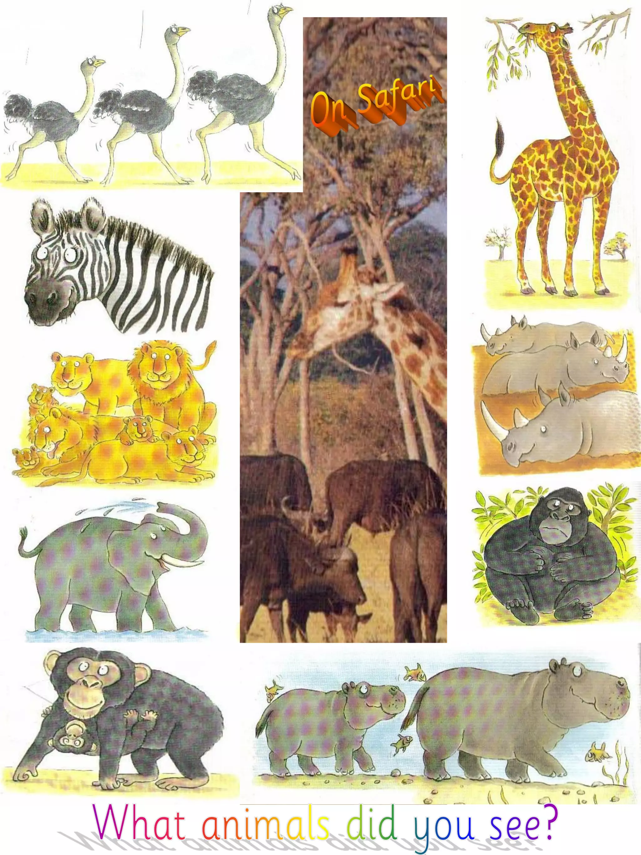 Safari science | PDF