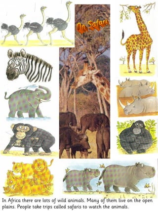 Safari science | PDF