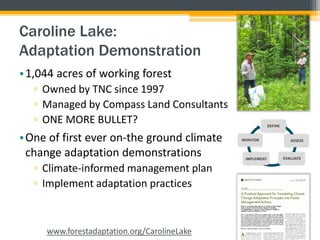 Climate-Informed Forest Inventory | PDF