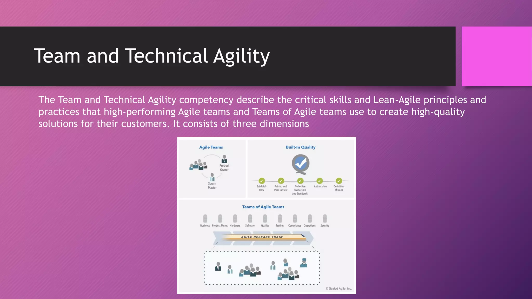SAFe 5 for Lean Enterprises - Seven Core Competencies.pdf