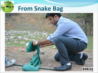 Safe and humane handling of snakes | PPT