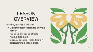 Safe Animal Handling - Lesson for High School Ag | PDF