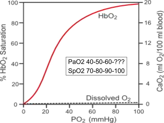 Safe apnea time - by Jason Greenman MD | PPT