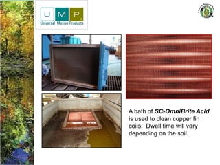 UMP Safe care presentation english | PPTX