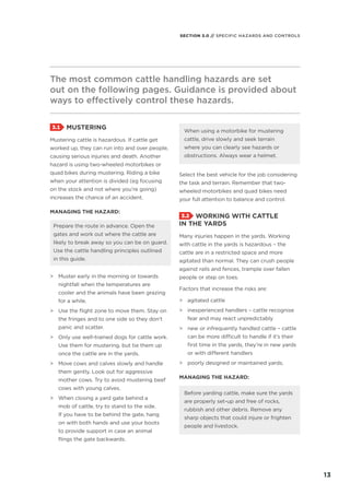 Safe cattle handling (new zealand) | PDF