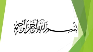 Safe City Project.pptx