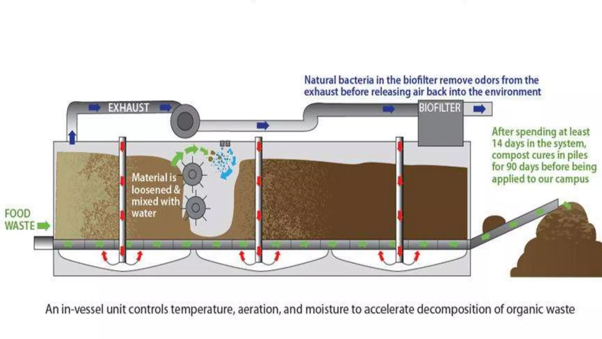 Safe Disposal of Waste | PPTX