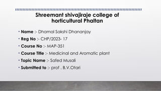 safed musali.pptx full detailed presentation | PPTX