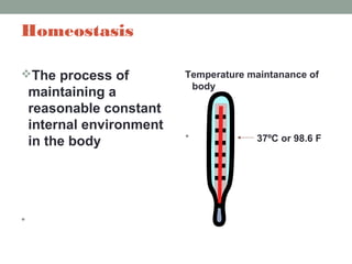 physiological stress and response | PPT