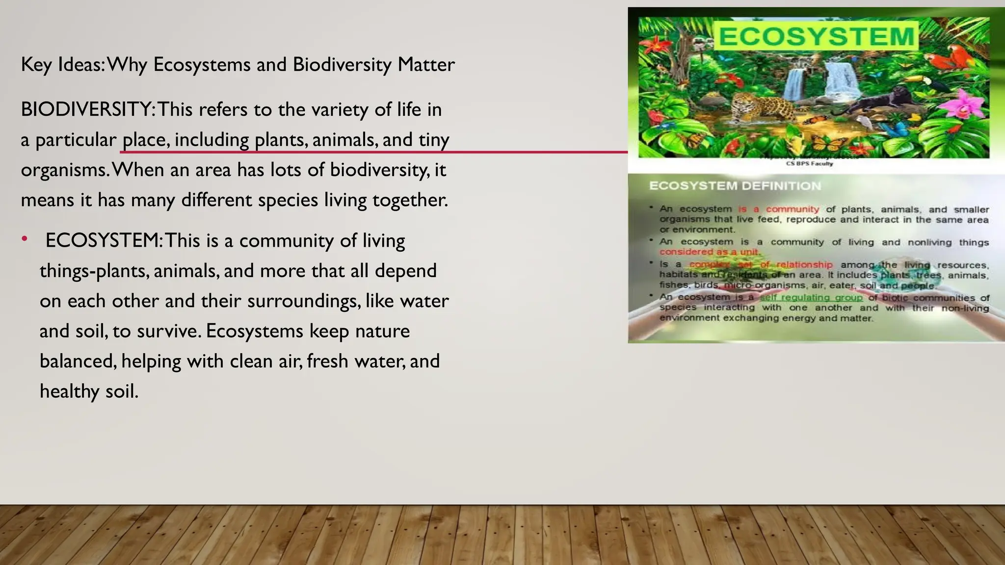 Eco system and biodiversity as attraction for travelers.pptx