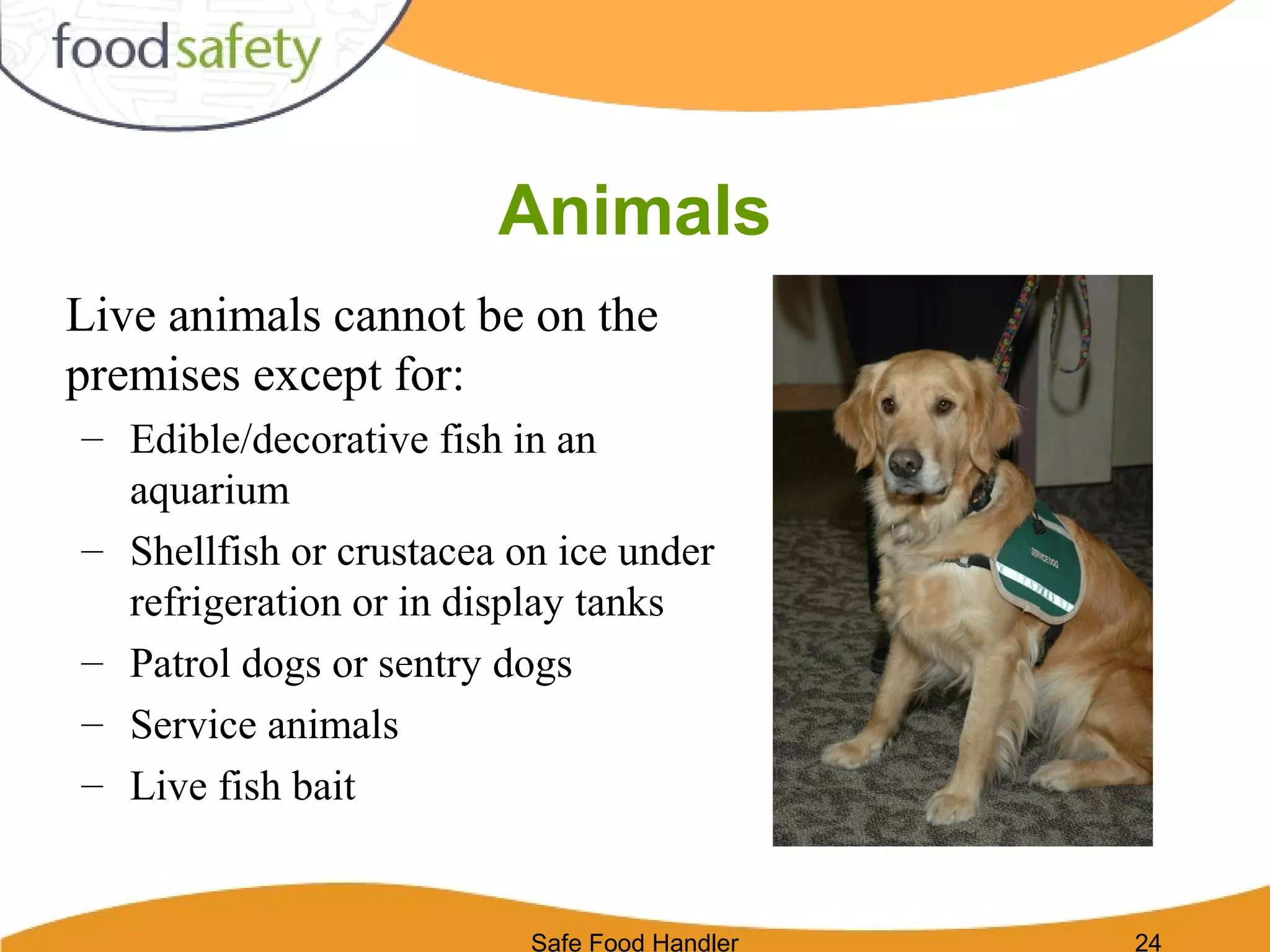 Safe food handlers | PPT