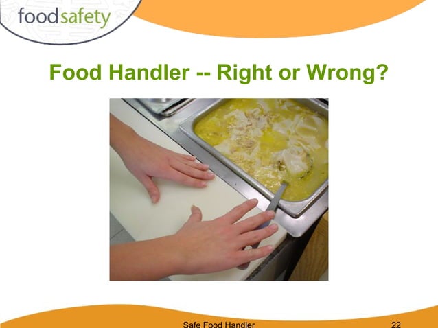 Safe food handlers | PPT | Infectious Diseases | Diseases and Conditions