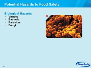 Safe food lesson_1 | PPT