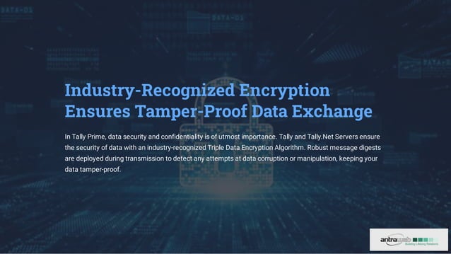 Tally Prime's Security Features: Safeguarding Your Business Data | PDF