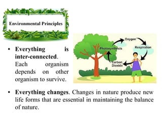 Safeguarding the Environment our Earth, our Home.pdf